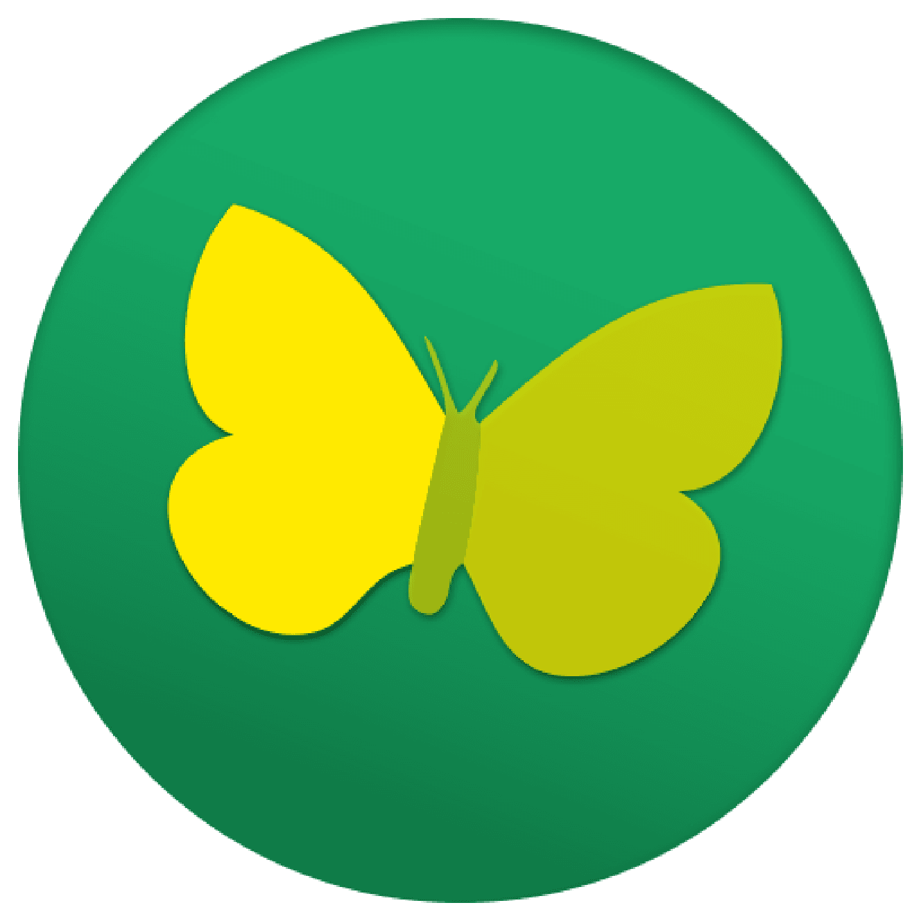 School Life | LFIM - Lycée Français International De Mascate